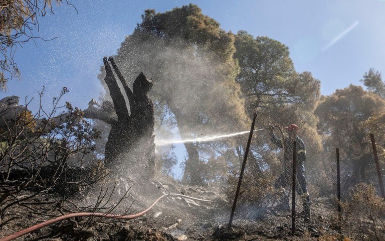 Φωτιά: Οι μοναχές μιλούν για θαύμα στον Άγιο Ιωάννη - Ορθοδοξία News Agency