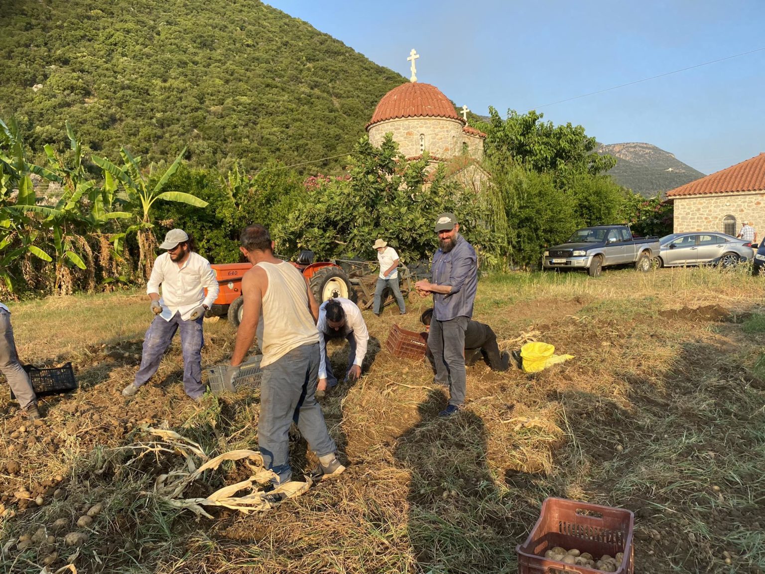 Συγκομιδή από τα κτήματα της Εκκλησίας - Ορθοδοξία News Agency